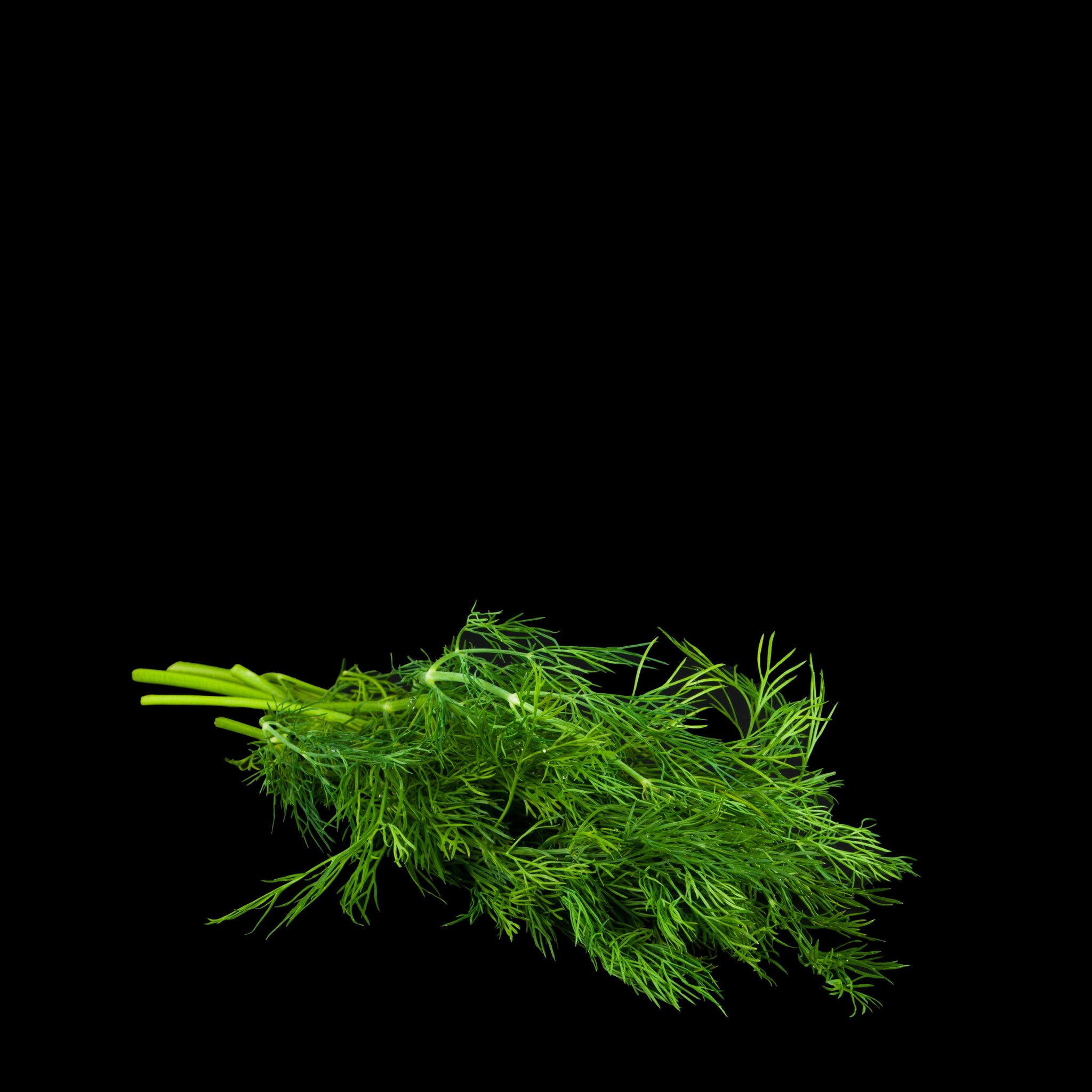 Herbes Aromatiques – Établissement Butet